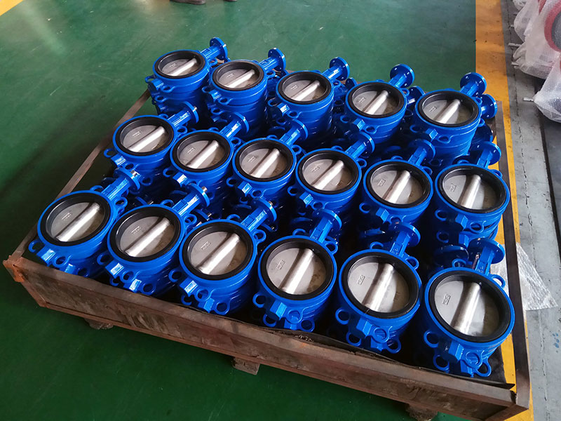DN80 Butterfly Valve | Butterfly Valve DN 80 | DFVVALVE